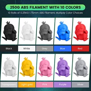 2500g 3D Printer Filament Bundle Multicolor, SUNLU ABS Filament&SUNLU PLA+ Filament, 10 Pack+8 Pack