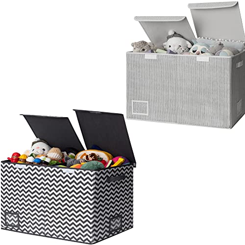 GRANNY SAYS Bundle of 1-Pack Storage Bins With Lids For Organizing & 1-Pack Cardboard Storage Boxes With Lids