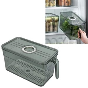 Tnfeeon Refrigerator Organizers Bins, Date Recording Fridge Organizers with Draining Board for Home for Vegetables