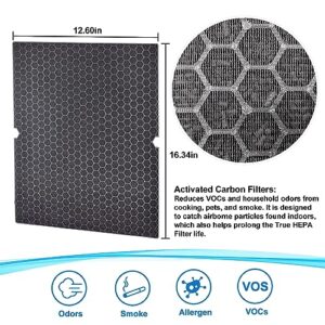 116130 Replacement Filter H for Winix 5500-2 Air Purifier and AM80 Models, Ture HEPA Filter and Activated Carbon Pre-Filters Combo Pack, Part No. 116130 replacement filter (Winix 5500-2- 1 Sets)