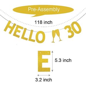 WEIANDBO Gold Glitter Banner,Hello 30,pre-assembled,30th Birthday Party Decorations Bunting Sign Backdrops,Hello 30