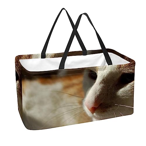 KQNZT Reusable Grocery Bags, Large Foldable Reusable Shopping Tote Bags Bulk for Groceries, Waterproof Kitchen Cloth Produce Bags with Long Handles, Cute Cat