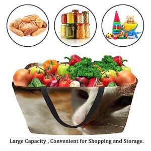 KQNZT Reusable Grocery Bags, Large Foldable Reusable Shopping Tote Bags Bulk for Groceries, Waterproof Kitchen Cloth Produce Bags with Long Handles, Cute Cat