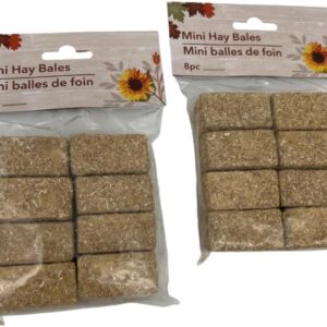 Mini Hay Bales Decoration (16-ct) Small Decorative Hay for Crafts/Dollhouse/Toy/Farm/Stables/Halloween/Table/Decor/Decoration/Decorative Accents/Fall/Harvest - 2 x 1 Inches (2 pk)