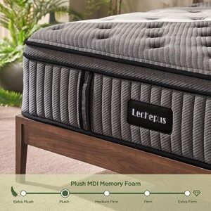 Lechepus Queen Mattresses 14 Inch Supportive Hybrid Mattress for Back Pain, Plush Bed in a Box, Memory Foam with Individual Pocket Springs, CertiPUR-US Certified, Queen Size Mattress, 60”x80”x14”