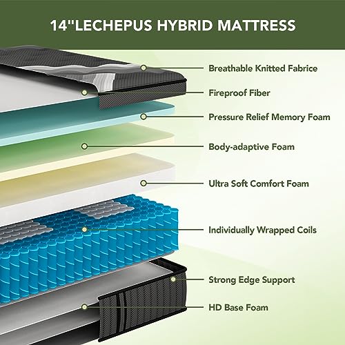 Lechepus Queen Mattresses 14 Inch Supportive Hybrid Mattress for Back Pain, Plush Bed in a Box, Memory Foam with Individual Pocket Springs, CertiPUR-US Certified, Queen Size Mattress, 60”x80”x14”