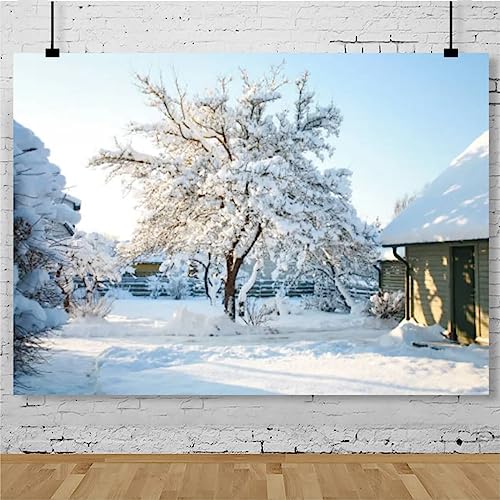 House Garden Trees Covered Snow A Cold Sunny Winters Day Clear Blue Photography Backdrop Photographer Portrait Banner Photo Studio Photobooth Prop Photography Background Decoration Supplies 7×5ft