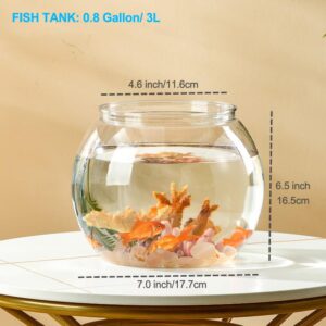 Newpol 0.8 Gallon Plastic Aquarium Fish Tank, Small Fish Tank Starter Kits, Fish Bowls