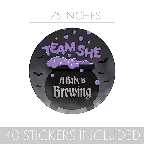 Baby is Brewing Halloween Gender Reveal Party - Bubbling Witch Cauldron Team He or Team She - 40 Stickers