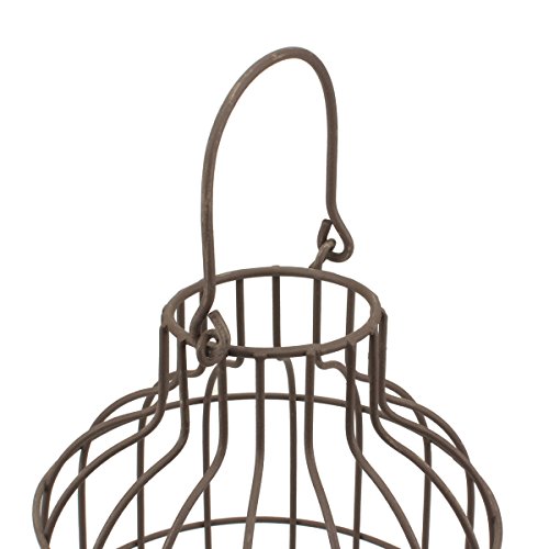 Stonebriar SB-5393C 2PC Wire Metal Cloche Set, Set of 2, Brown & Large 11.8" Decorative Rustic Farmhouse Worn Natural Wood and Metal Tray