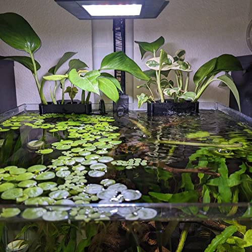 2PC 7 Holes Upgraded Aquatic Plant Cup Aquarium Plant Holder for Tank - Perfect for Fish Tank Aquaponic Plant Cultivation and Aquascape Decorations on Top of Tank