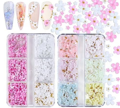 Flymind 3D Flower Nail Charms, 2 Boxes Light Change Acrylic Resin Flowers Nail Design Metal Caviar Beads for Manicure DIY Decoration with 2 Pickup Pencils for Women Girls