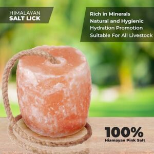 Himalayan Salt Lick 6 LbsPack of 4 | Himalayan Licking Salt Block for Animals with Minerals | 100% Himalayan Pink Licking Salt Licks for Cows, Goats, Deer, Cattles & Horses on Rope