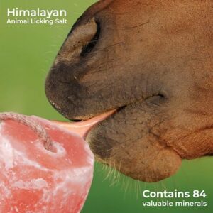 Himalayan Salt Lick 6 LbsPack of 4 | Himalayan Licking Salt Block for Animals with Minerals | 100% Himalayan Pink Licking Salt Licks for Cows, Goats, Deer, Cattles & Horses on Rope