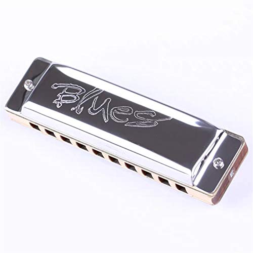 WAAZVXS Diatonic Harmonica 10 Holes 20 Notes Blues Harp Key C Stainless Steel Cover Musical Instruments (Color : Key Low Eb)