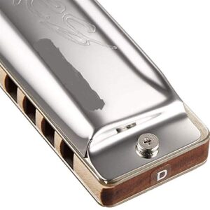 WAAZVXS Diatonic Harmonica 10 Holes 20 Notes Blues Harp Key C Stainless Steel Cover Musical Instruments (Color : Key Low Eb)