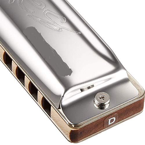 WAAZVXS Diatonic Harmonica 10 Holes 20 Notes Blues Harp Key C Stainless Steel Cover Musical Instruments (Color : Key Low Eb)