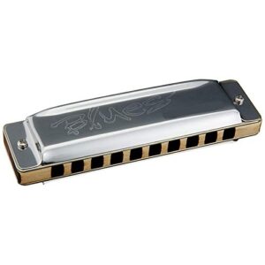 WAAZVXS Diatonic Harmonica 10 Holes 20 Notes Blues Harp Key C Stainless Steel Cover Musical Instruments (Color : Key Low Eb)