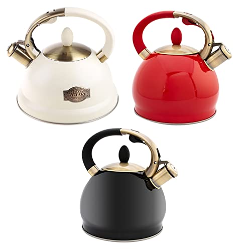 Stainless Steel Teakettle Teapot With Ergonomic Handle Easy Maneuvering Durable For Make Tea Boil Water Gift Fort Home Whistle Tea-pot