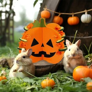 Rabbit Toy Halloween Pumpkin Rabbit Feeder Wooden Interactive Toy for Guinea Pig Hamster Chinchilla Bunny Treats Enrichment Toy Foraging Mental Stimulation Rabbit Accessories Indoor Habitat Decor