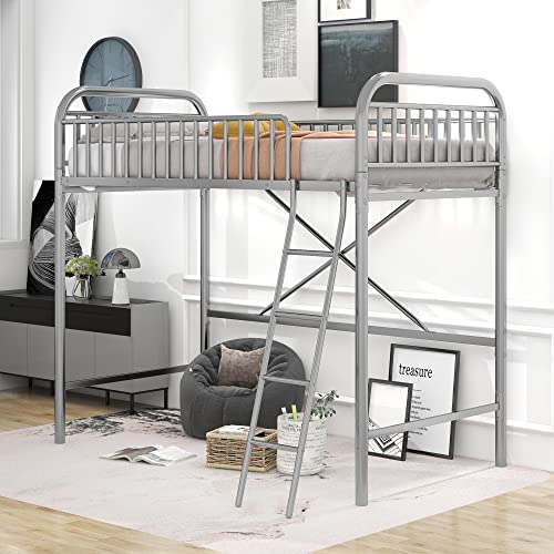 OPTOUGH Twin Size Metal Loft Bed, No Box Spring Needed, for Girls Boys Teens,Silver