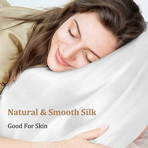 BeeVines Silk Pillowcase, 2 Pack 100% Mulberry Silk Pillow Case for Hair & Skin, Pure Natural Satin Pillow Cases with Hidden Zipper, Cooling Pillowcases for Queen Size (One Side Silk, Pearl White)