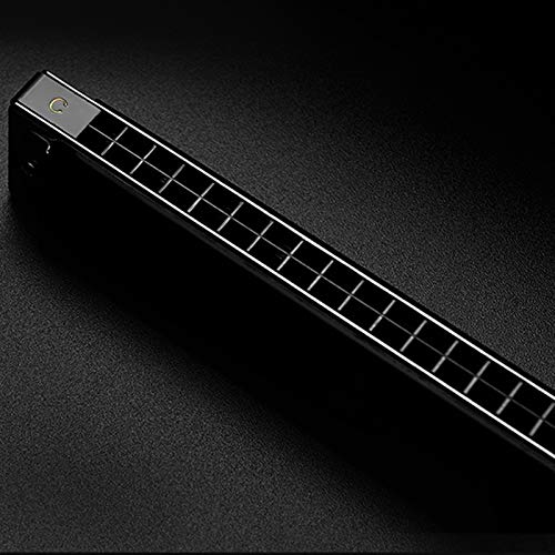 WAAZVXS 24 Holes Harmonica Mouth Organ Key Of C Musical Instruments ABS Comb Silver Black Blue Wind Wood Harp (Color : Black Key of C)