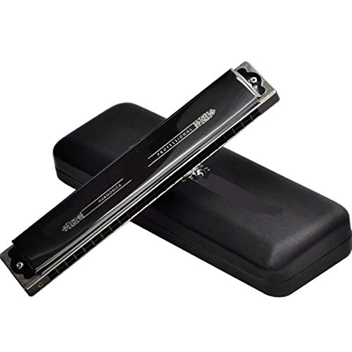 WAAZVXS 24 Holes Harmonica Mouth Organ Key Of C Musical Instruments ABS Comb Silver Black Blue Wind Wood Harp (Color : Black Key of C)