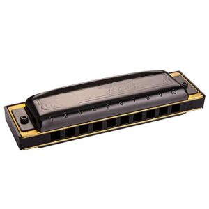 waazvxs harp diatonic harmonica 10 hole 20 tone mouth organ instrumentos key of c musical instruments blues harp abs comb (color : key of db)