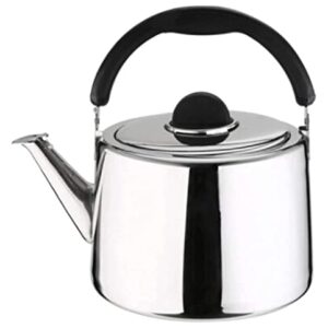 XENITE Classic Kettle Stove Top Whistling Kettle Food-Grade Stainless Steel Teapot Whistle Teapot Ergonomic Suitable for Various Stoves Camping Kettle Teapots (Color : Silver, Size : 5L)