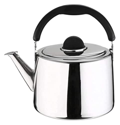 XENITE Classic Kettle Stove Top Whistling Kettle Food-Grade Stainless Steel Teapot Whistle Teapot Ergonomic Suitable for Various Stoves Camping Kettle Teapots (Color : Silver, Size : 5L)