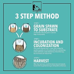 Olympus Myco Mushroom Grow Kit | Sterilized Grain (3 lbs) and Pasteurized Substrate (5 lbs) Combo for Mushroom Cultivation