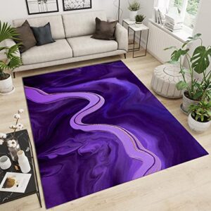 Noble Light Luxury Classic Area Rug, Purple Gold Fluid Indoor Non-Slip Kids Rugs, Machine Washable Breathable Durable Carpet for Front Entrance Floor Decor,5 x 7ft