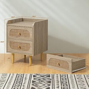 Rattan Nightstand Set of 2 with Drawers - Boho Bedside Table with Storage - Night Stand with Solid Wood Feet - Small Side Table End Table for Bedroom