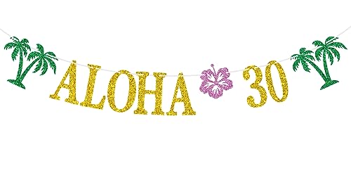 Hawaiian Aloha 30 Banner, Cheers to 30 Years Bunting Sign, Happy 30th Birthday Party Decorations Supplies, Hawaiian Tropical Luau Favors Sign Photo Booth Props, Gold Glitter