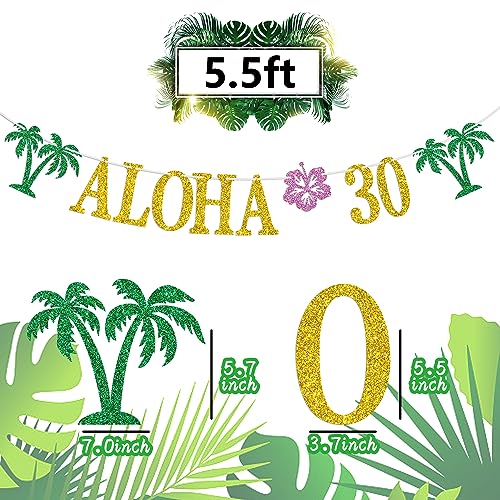 Hawaiian Aloha 30 Banner, Cheers to 30 Years Bunting Sign, Happy 30th Birthday Party Decorations Supplies, Hawaiian Tropical Luau Favors Sign Photo Booth Props, Gold Glitter