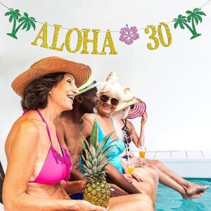 Hawaiian Aloha 30 Banner, Cheers to 30 Years Bunting Sign, Happy 30th Birthday Party Decorations Supplies, Hawaiian Tropical Luau Favors Sign Photo Booth Props, Gold Glitter