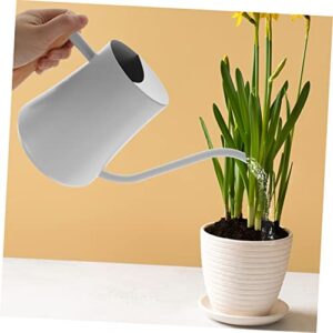 BUTIFULSIC Watering Kettle Flower Watering Bottle Garden Watering Bucket Sprinkling cans Flower Watering can Plant Mister Watering Spray Bottle Succulent Tools Stainless Steel White Indoor