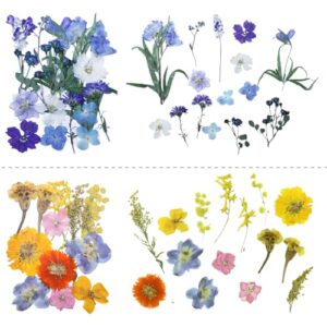 Dried Flowers for Resin, elefis 6 Packs Pressed Flowers and Leaves for Resin, Candle Making, Crafts, Nails, Scrapbooking, Epoxy Jewelry, Soap Making (Colorful A)