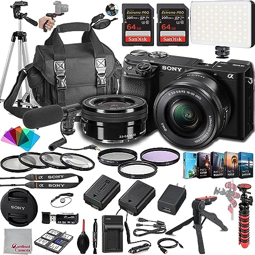 Sony a6100 Mirrorless Camera with 16-50mm + 55-210mm Lenses, 128GB Extreem Memory,.43 Wide Angle & 2X Lenses, Case. Tripod, Filters, Hood, Spare Battery & Charger, Editing Software Kit -Deluxe Bundle