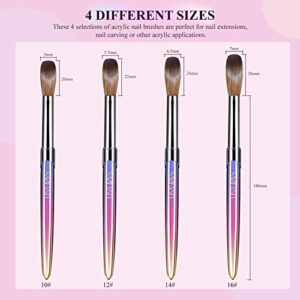 Saviland 4pcs Acrylic Nail Brush Set - Size 10/12/14/16 Acrylic Brushes for Nails, Gradient Handle Professional Acrylic Nail Brushes for Acrylic Powder Application, Nail Extension & 3D Nail Carving