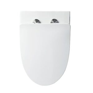 Casta Diva In-Wall Toilet Combo Set Incl. Wall Hung Toilet Bowl & Seat, Wall Tank and Carrier System, For 2x4 / 2x6 Studs