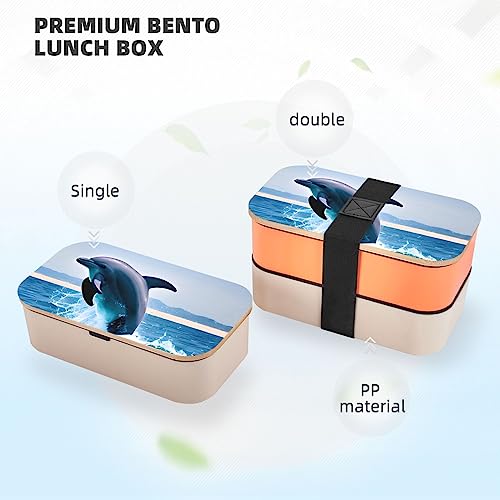 Jumping Up Dolphins Adult Lunch Box, Bento Box, With Cutlery Set Of 3, 2 Compartments, Rectangular, Lunch Box For Adults