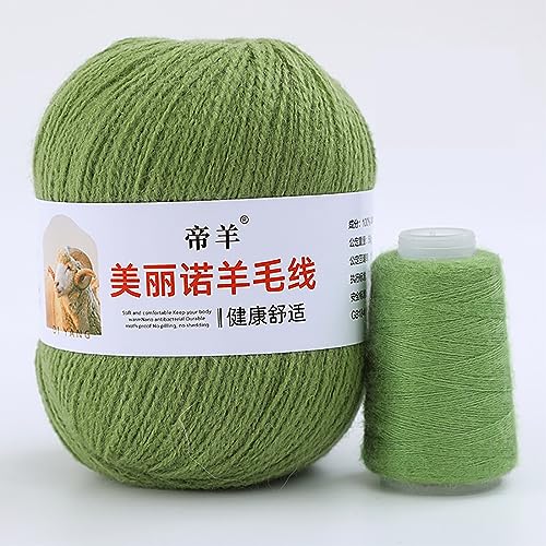 5 Balls/250g Yarn Ave 100% Merino Wool Lace Weight Yarn, Soft Yarn for Hand Knitting & Crocheting Pullovers, Shawls, Baby Sweaters,with Gifts of 5 Rolls Elastic Threads (#810 Fruit Green)