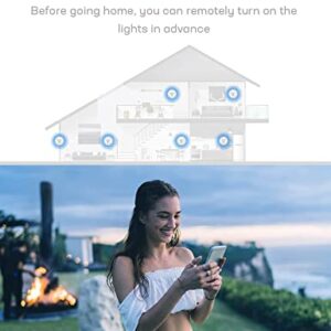 Smart Plug, Alexa Plug 2 Packs, Smart Plugs That Work with Alexa and Google Home, Smart Life WiFi Plug with Remote&Voice Control, Timer Plug(2.4GHz Only)