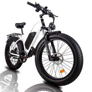 QIKAITU Electric Bike for Adults 1000W 30MPH 48V 23AH Ebikes for Men 26" Fat Tire Electric Bicycle Snow Beach Color LCD Display Electric Mountain Bike