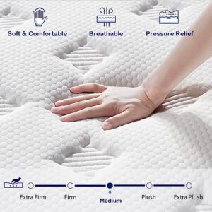 EEN EEN SLEEP Queen Mattress, 12 Inch Hybrid Mattress in a Box, Queen Size Mattress Foam and Individually Wrapped Pocket Coils, Soft and Breathable, Pressure Relief, Strong Edge Support, Medium Firm