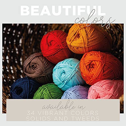 Lion Brand Yarn Heartland Yarn for Crocheting, Knitting, and Weaving, Multicolor Yarn, Mount Rainier, 753 Foot (Pack of 2)