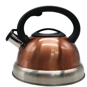 Stove Top Kettle Whistling Tea Kettle 3L Whistling Teapot Stovetop Tea Kettle Stainless Steel Water Boiling Teapot Cool Handle Kettle Kitchen Kettle Stovetop Tea Kettle Stovetop (Color : B, Size : 3