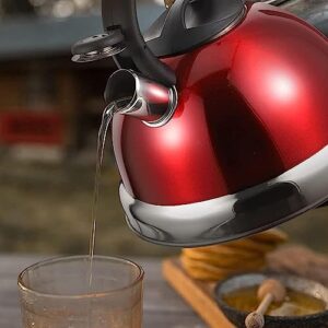 Stove Top Kettle Whistling Tea Kettle 3L Whistling Teapot Stovetop Tea Kettle Stainless Steel Water Boiling Teapot Cool Handle Kettle Kitchen Kettle Stovetop Tea Kettle Stovetop (Color : B, Size : 3